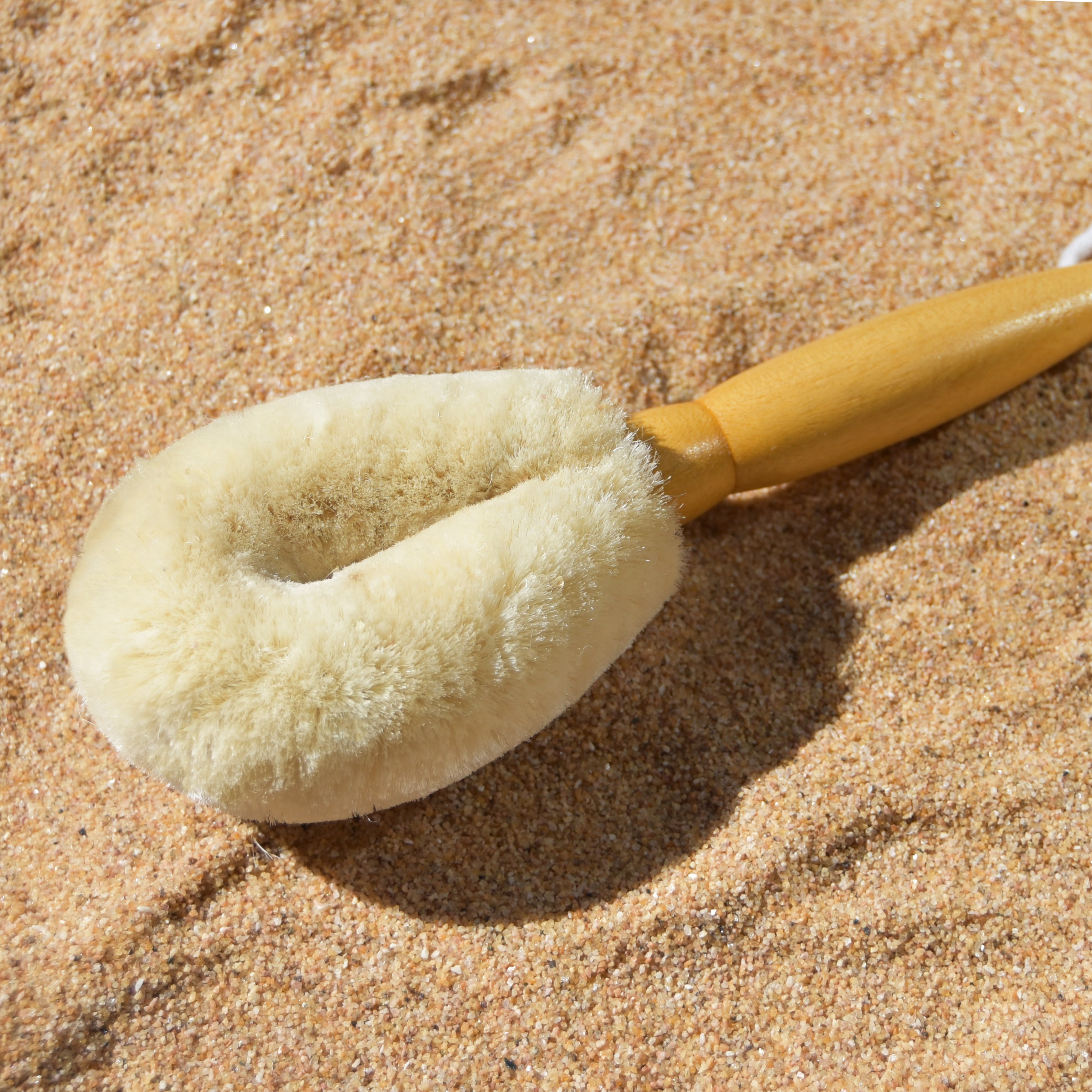 Bikini Brushes – Merben